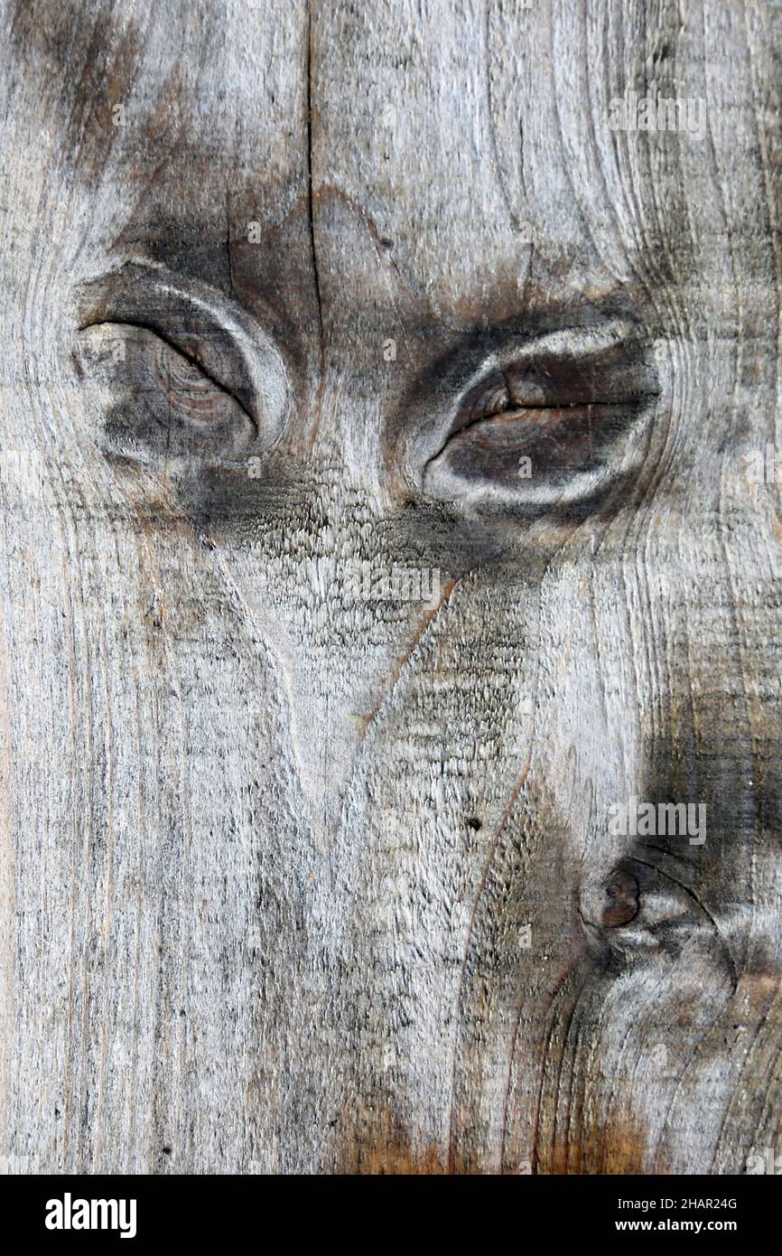 Spooky looking anthropmorphic face in wooden bench seat caused by the ...