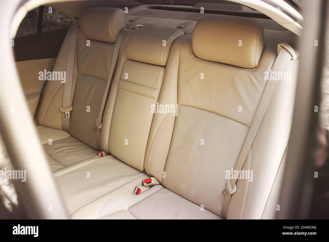 Car interior. Rear leather seats Stock Photo - Alamy