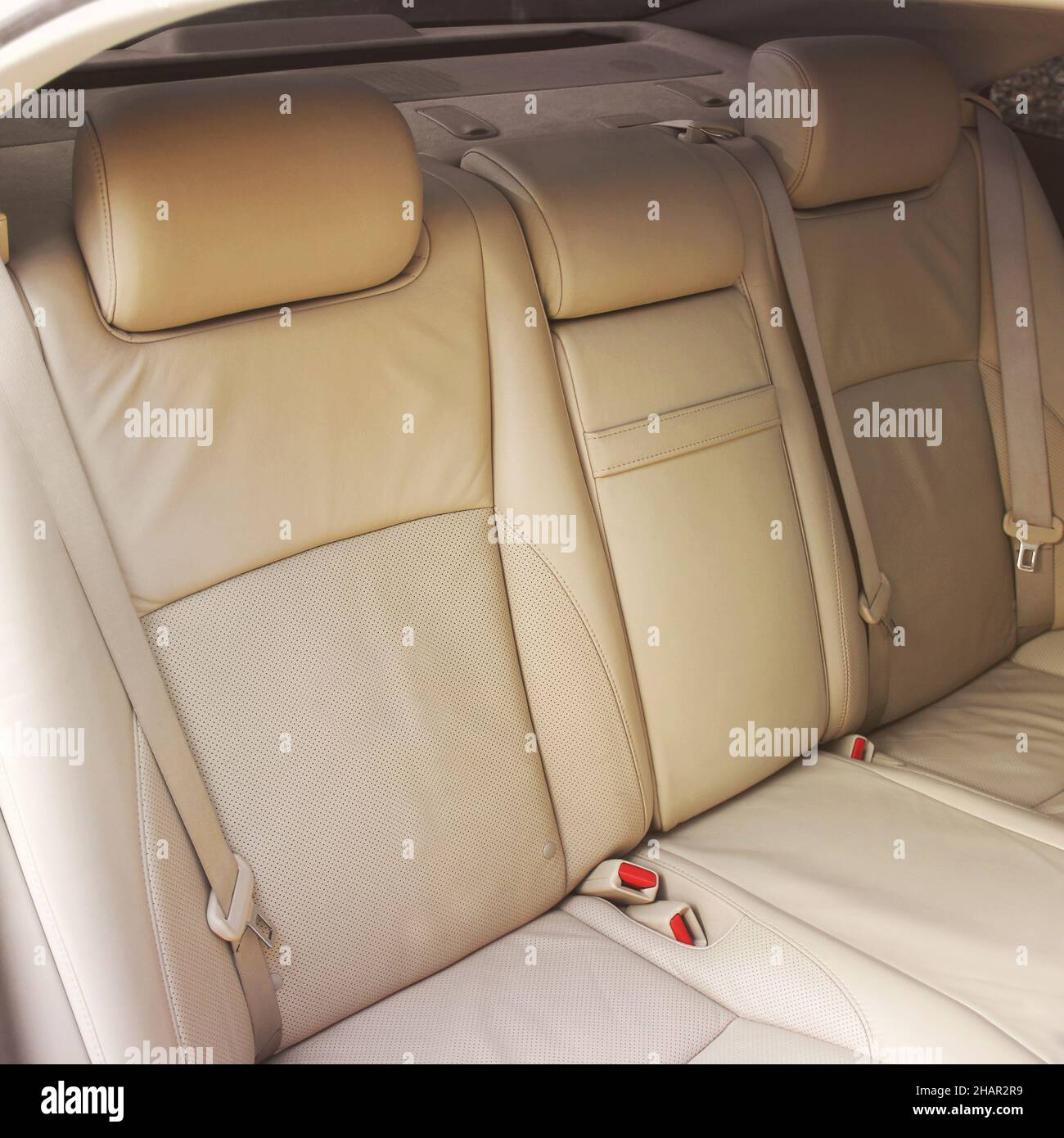 Car interior. Rear leather seats Stock Photo - Alamy