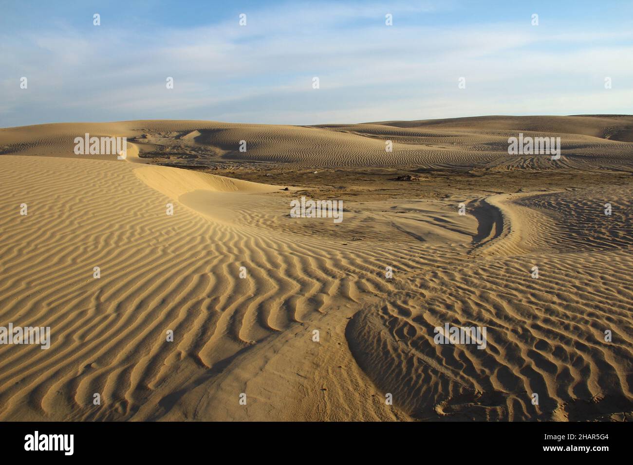 Sand dunes and sand waves in summer in sunset Stock Photo - Alamy