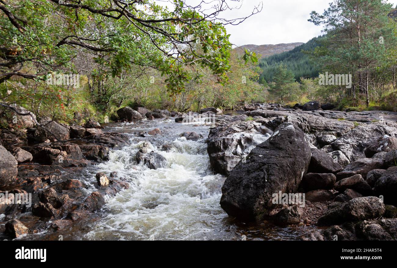 The rapids of the Strontian River passing through ancient oakwoods of ...