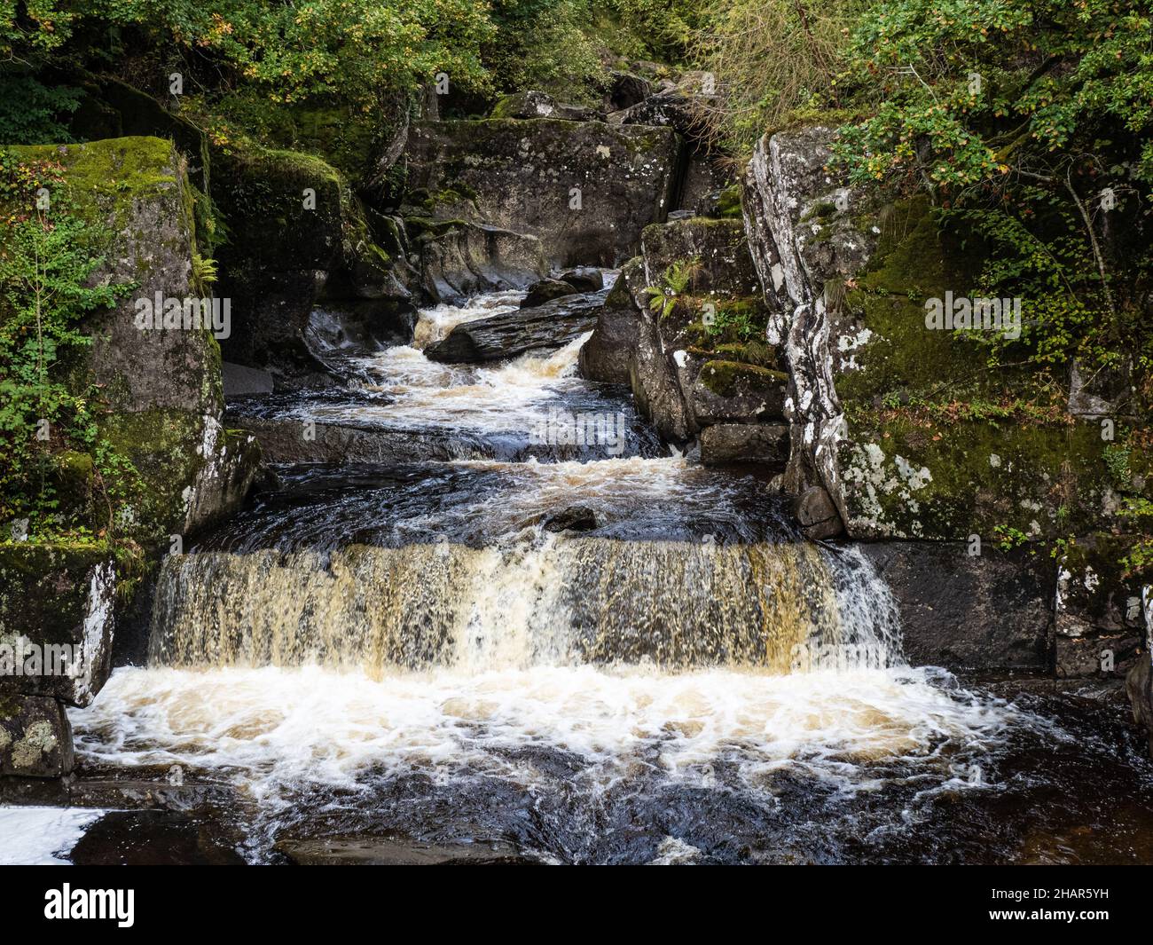 Flows circular walk idyllic popular beauty spot route forest forestry ...