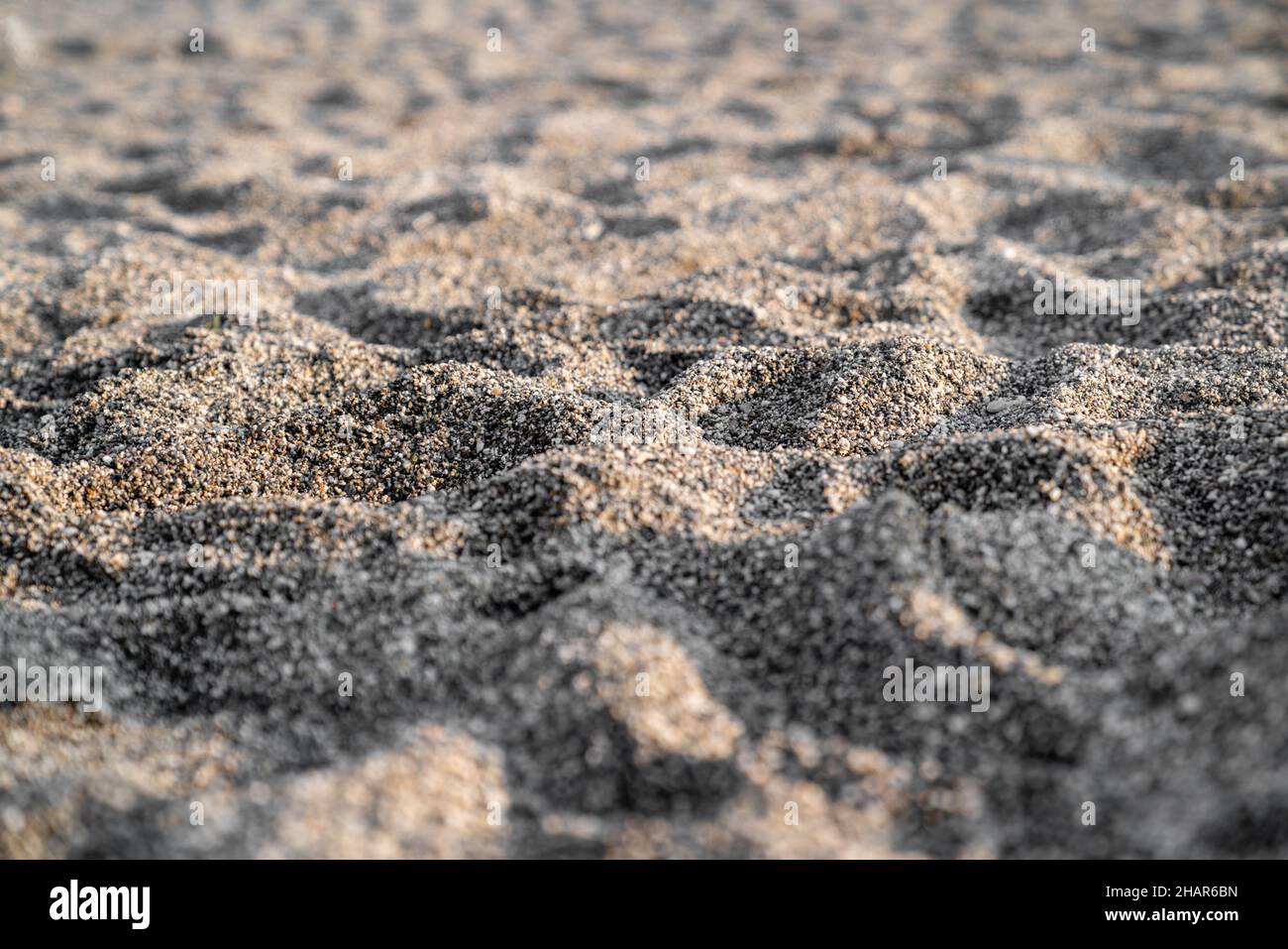 Background texture of beach loose sand with soft focus Stock Photo - Alamy