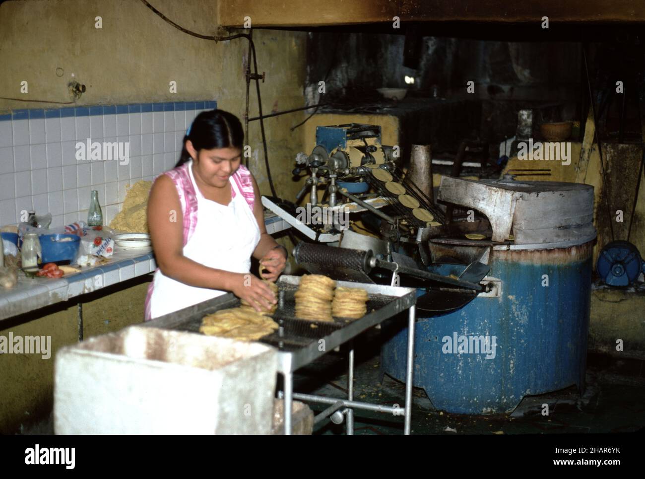 Merida mexico tortilla bakery hi-res stock photography and images - Alamy