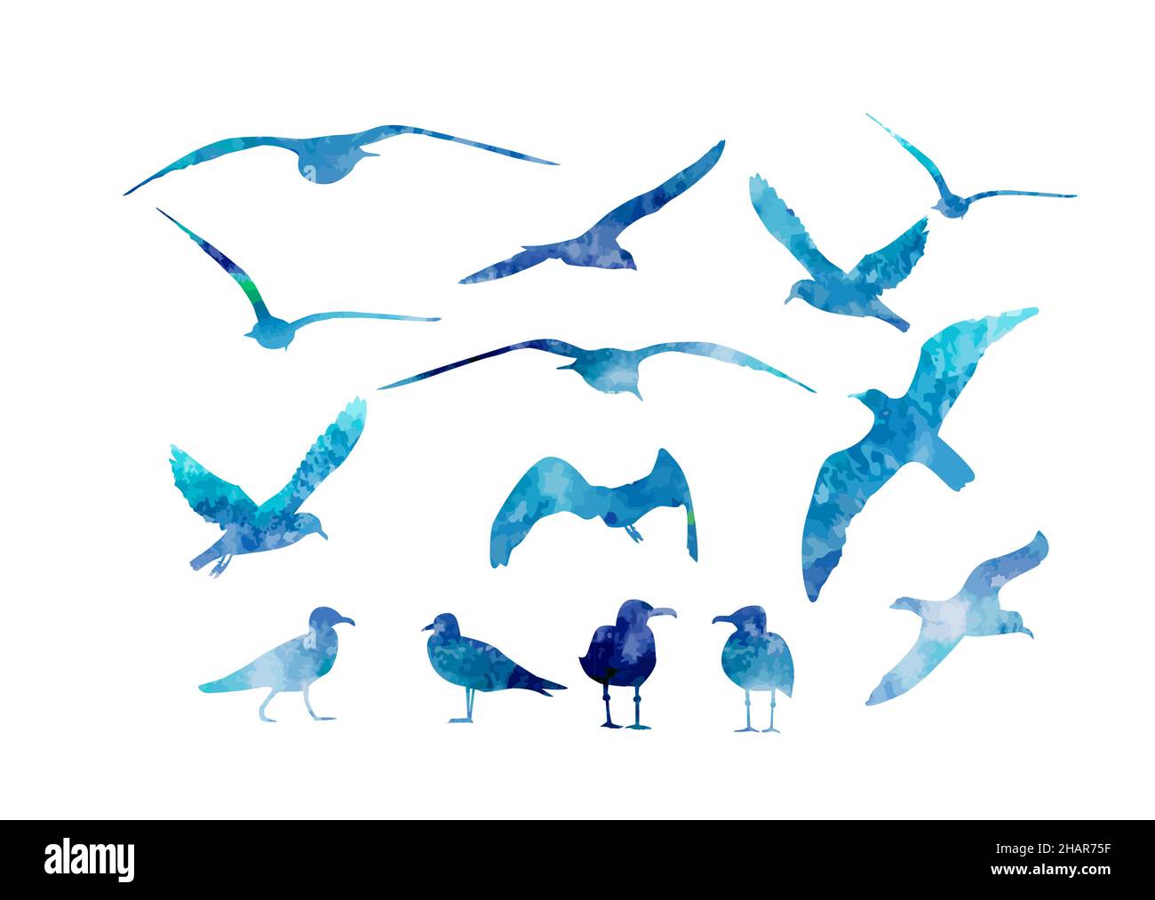 Set of blue watercolor sea gulls. Vector illustration Stock Vector ...