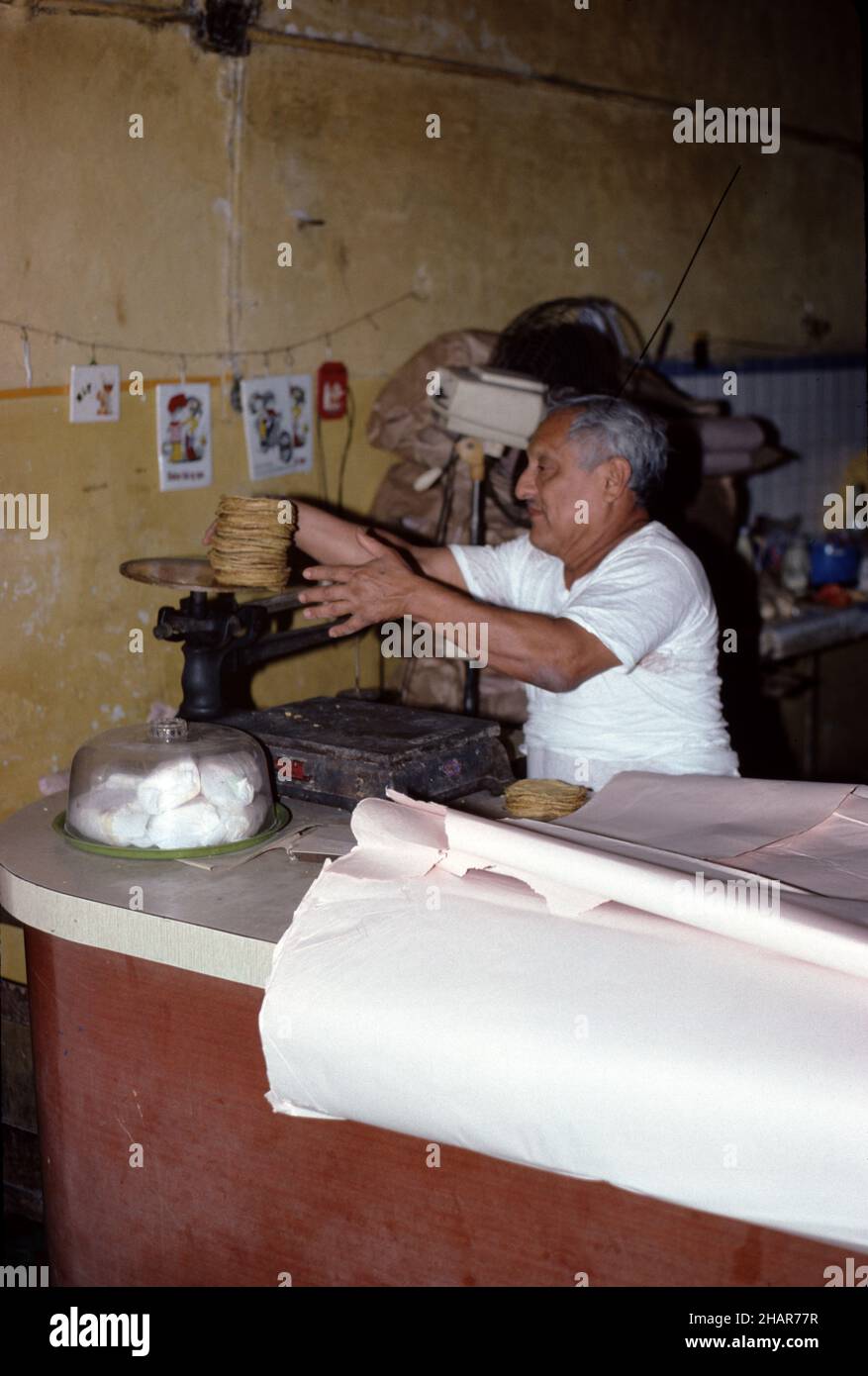 Merida mexico tortilla bakery hi-res stock photography and images - Alamy