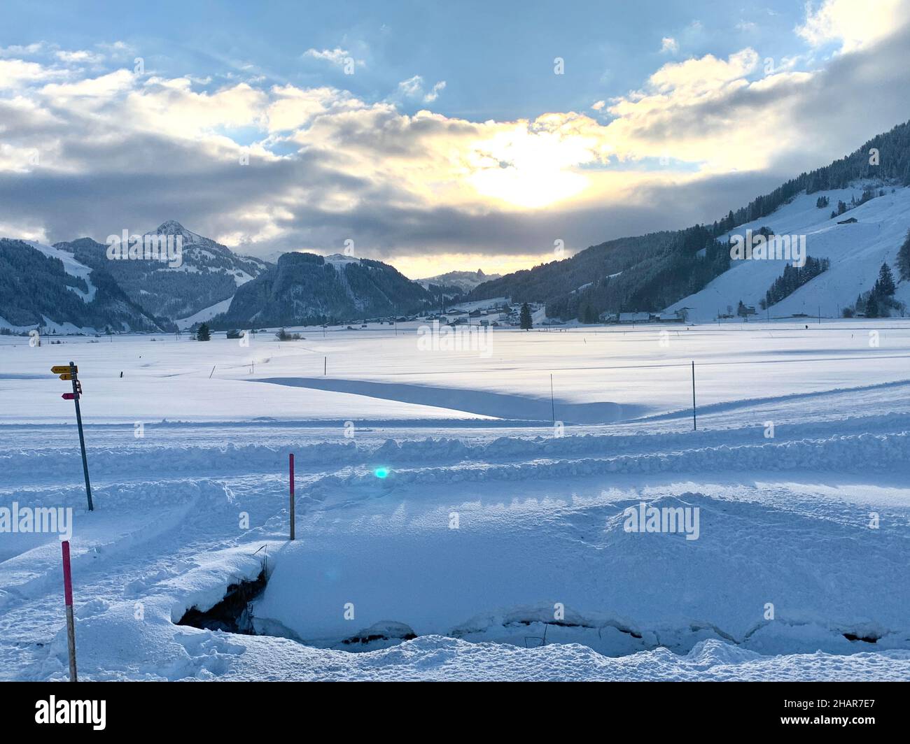 Winter landscape with snow covering tree branches. Brook flowing in the ...