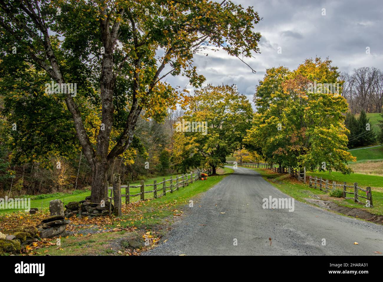 Road leads to the Causeway Park, Burlington, Vermont Stock Photo - Alamy