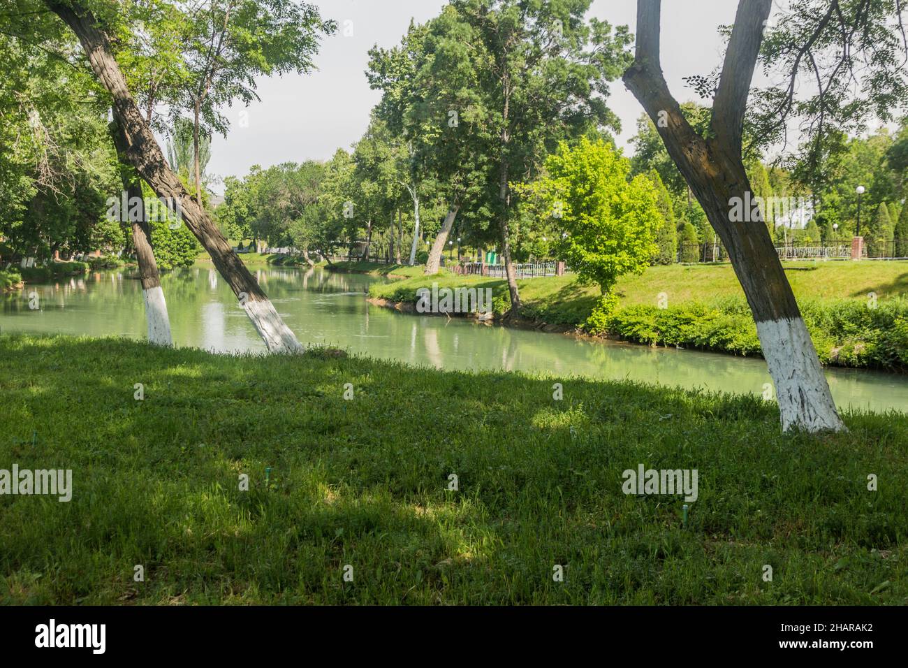 Tashkent forest hi-res stock photography and images - Alamy