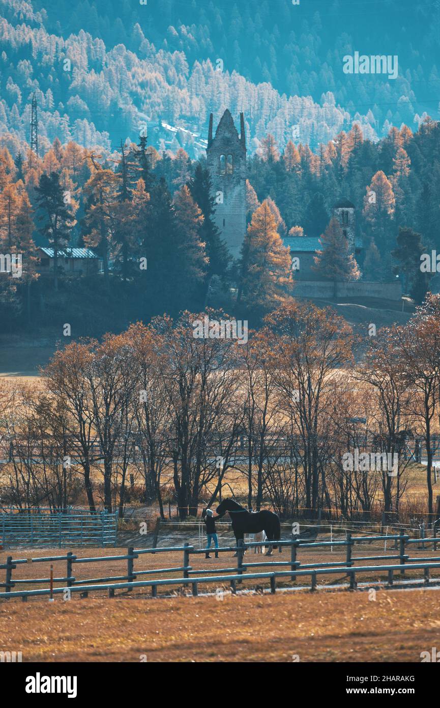 Highland horse racing hi-res stock photography and images - Alamy