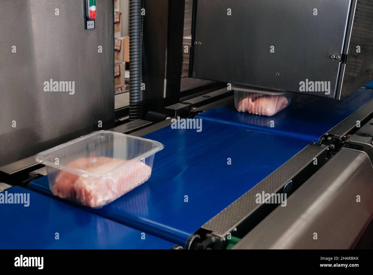 Line for the production of semi-finished meat products.Meat processing ...