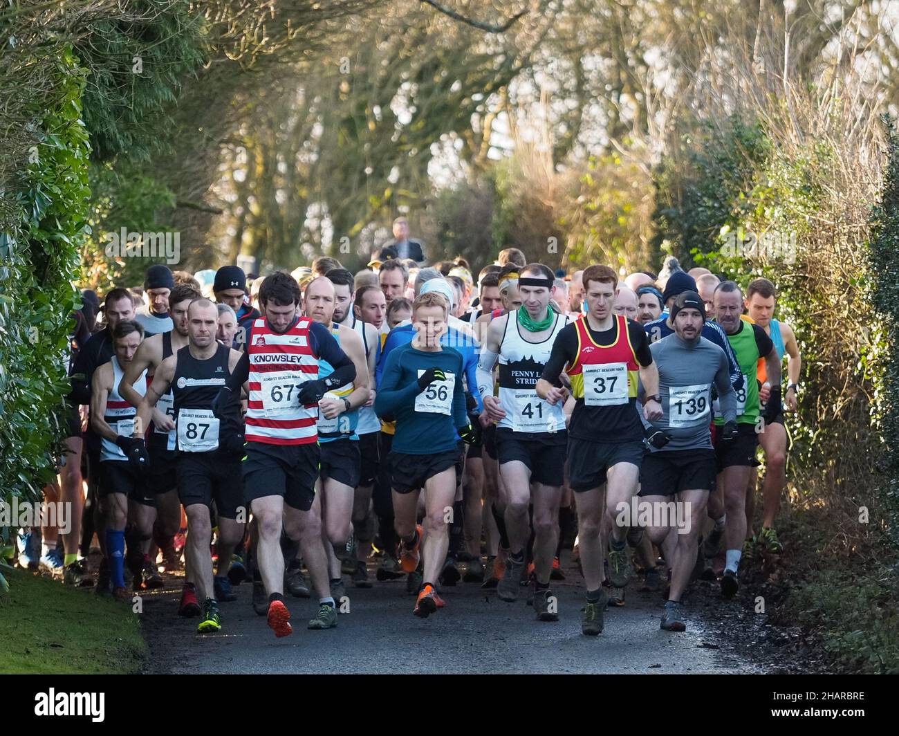 Beacon Fell Race 14.1.17 Stock Photo - Alamy