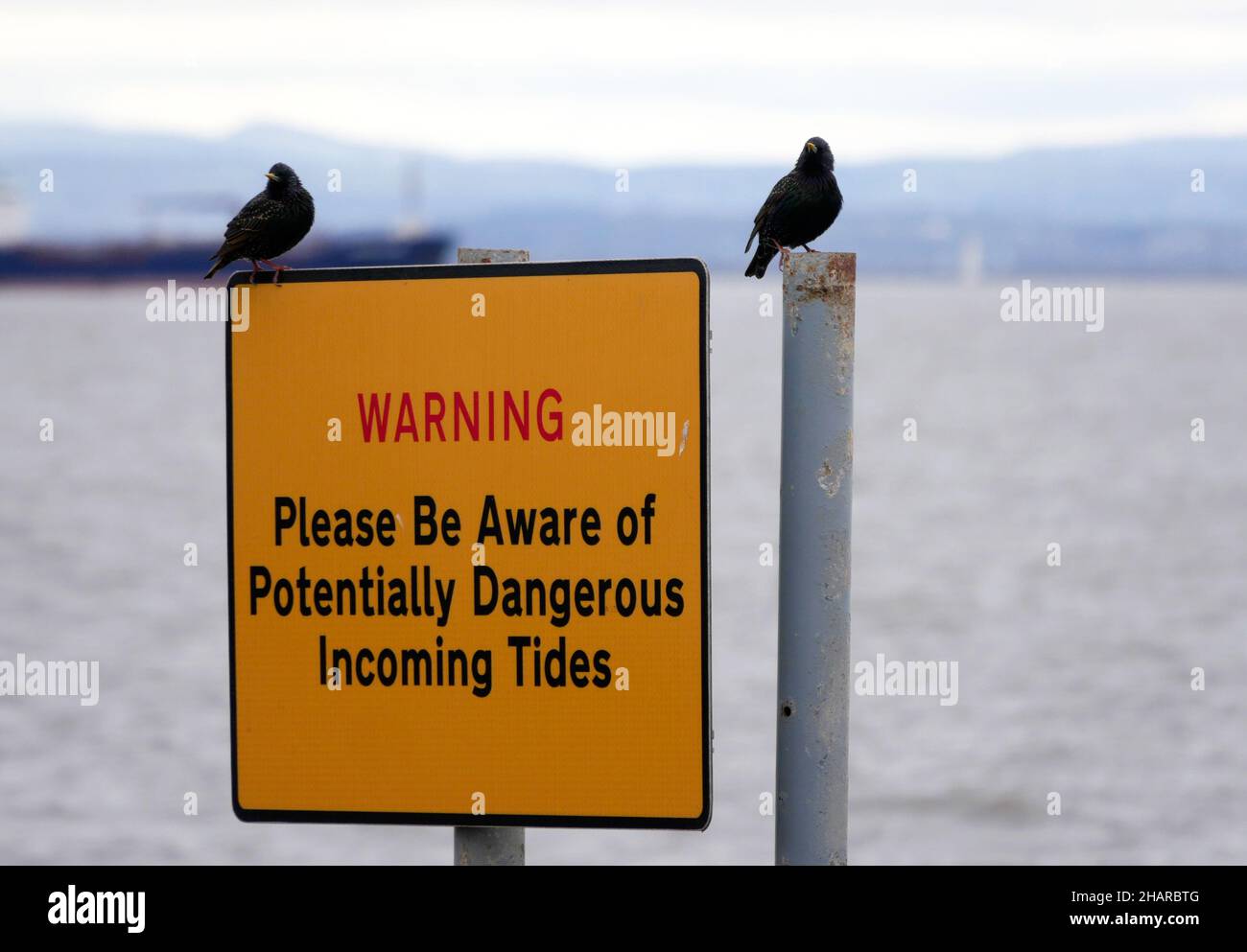 Warning sign for incoming tides Stock Photo - Alamy