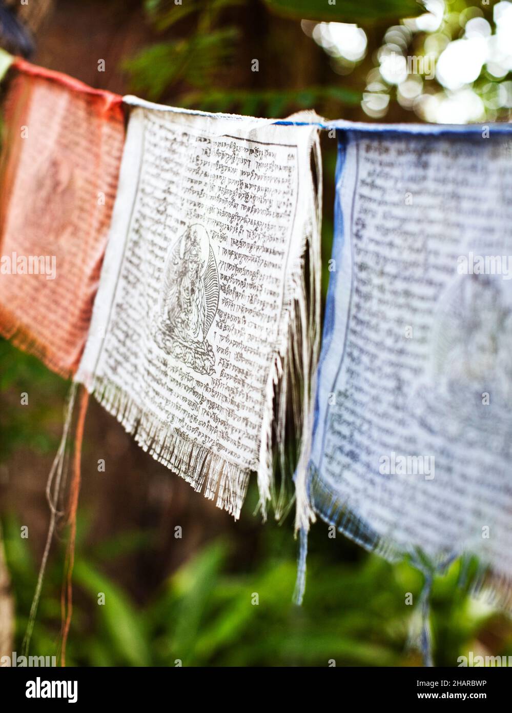 Prayer flags blow hi-res stock photography and images - Alamy