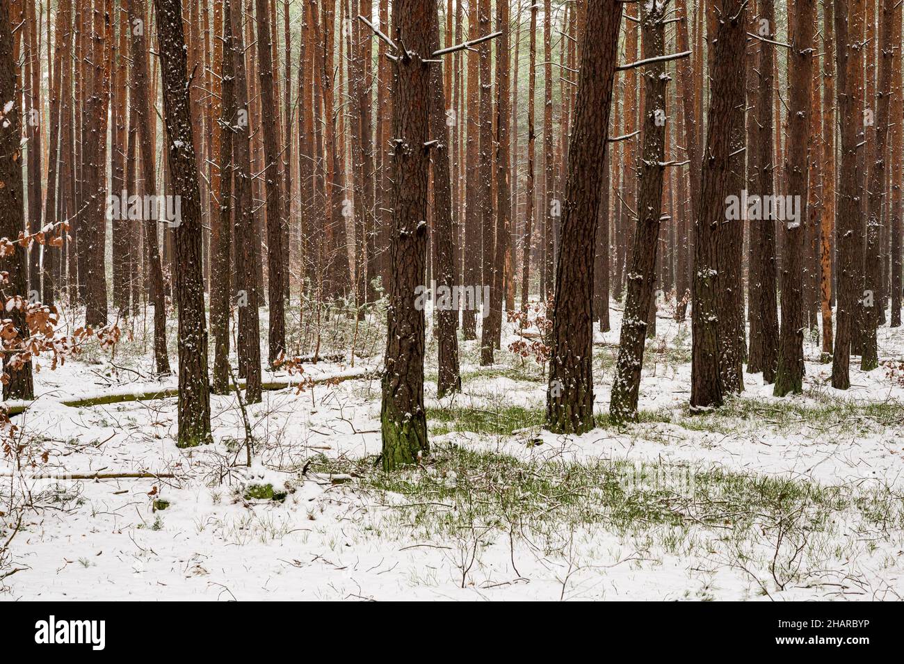 First drops hi-res stock photography and images - Alamy