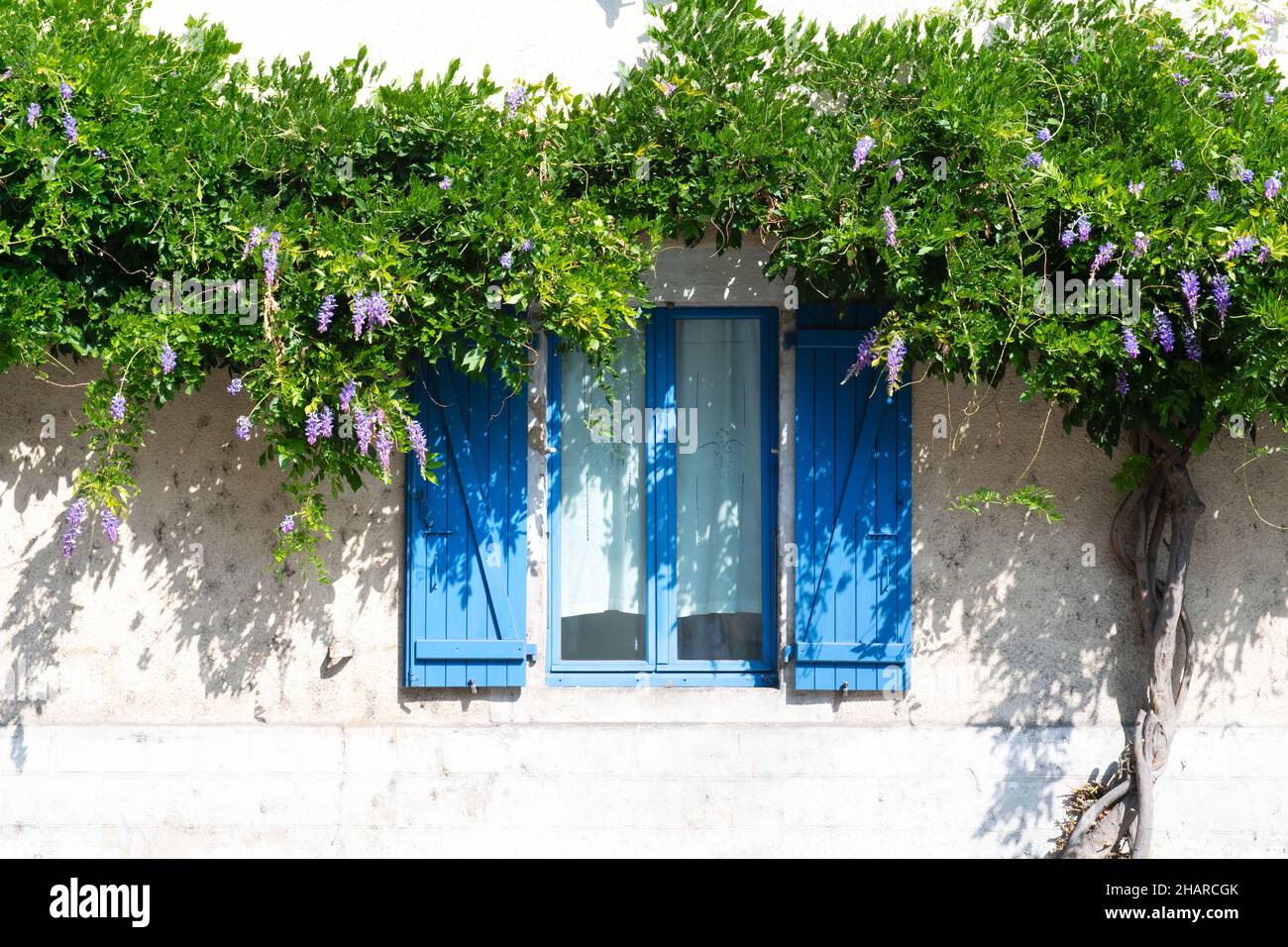 Typical French house with blue shutters Stock Photo - Alamy