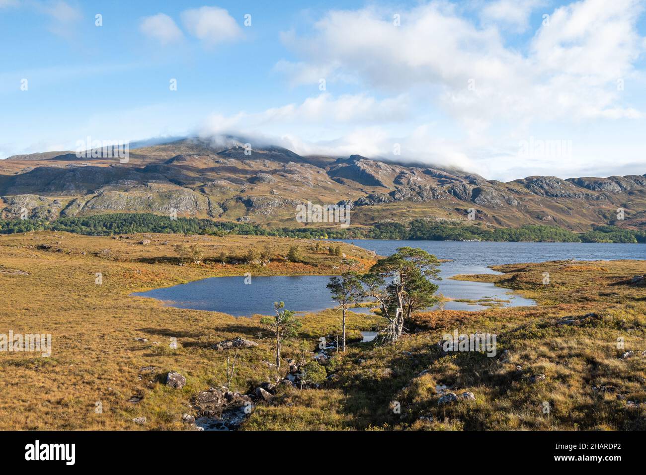 Historic geology ecology conservation designated designation a832 hi ...