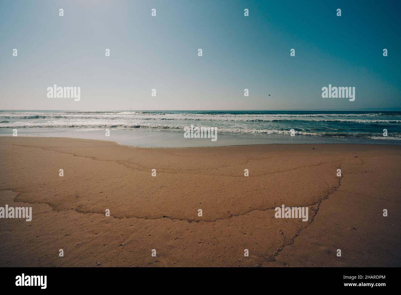 Wide empty sand beach and ocean view, no people, copy space Stock Photo ...
