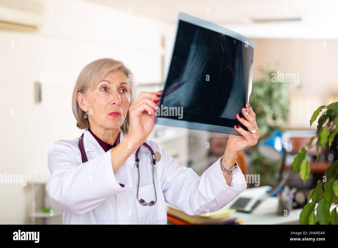 Focused elderly female doctor radiologist examining x-ray Stock Photo ...