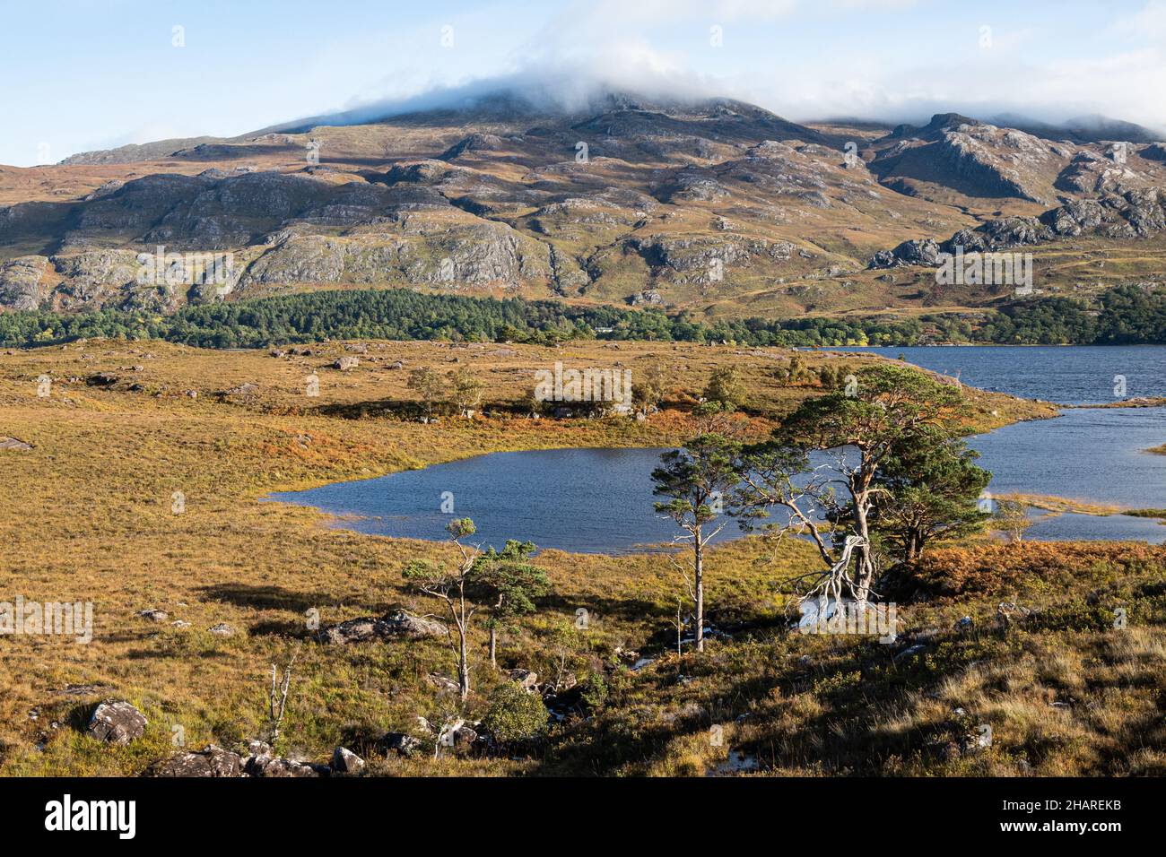 Overlooking Loch Maree, Wester Ross, Ross-shire, Scotland Stock Photo ...