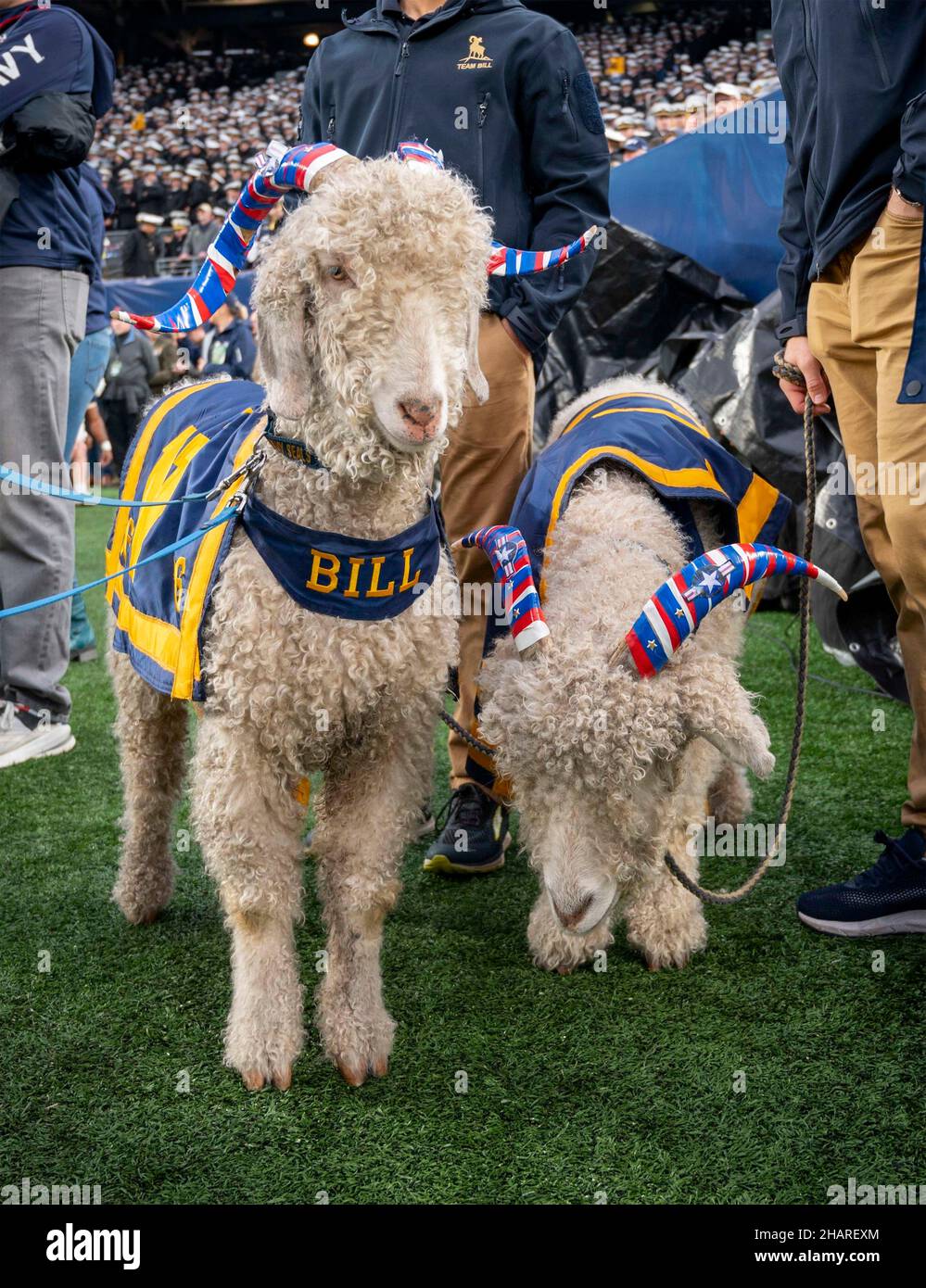 Football mascots hi-res stock photography and images - Alamy