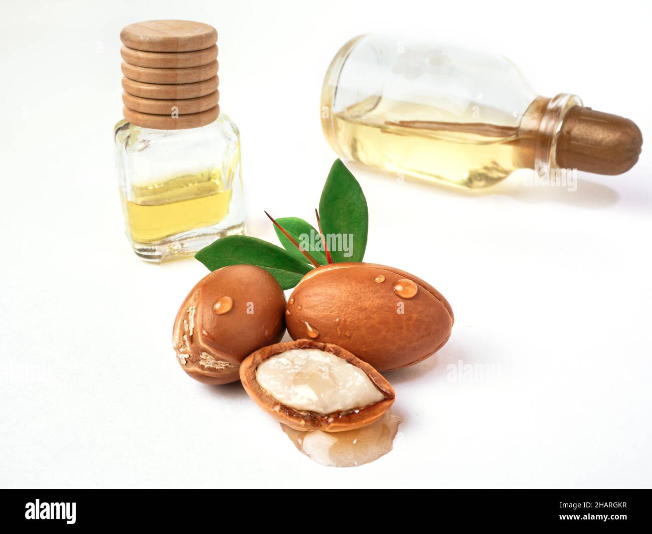 Argan nuts argania spinosa leaves hi-res stock photography and images ...