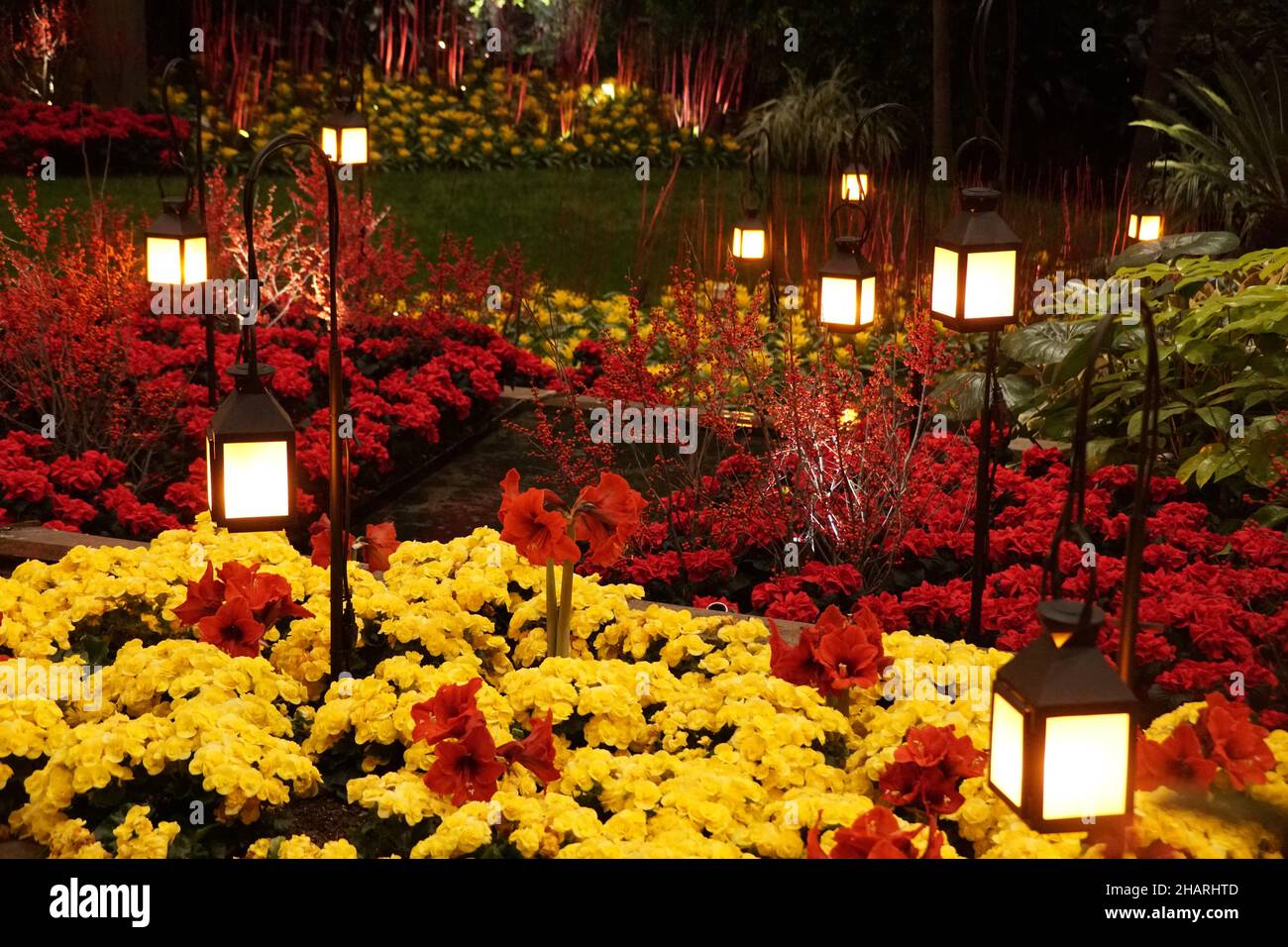 Red and yellow flowers decorated around ground light poles Stock Photo ...