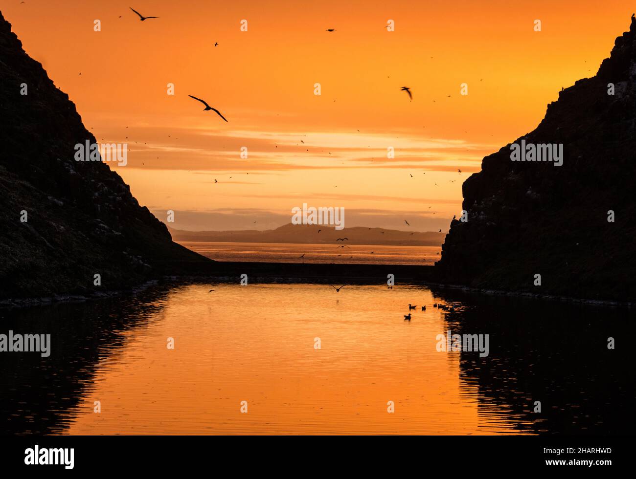 Silhouette of a birds flying between two mountains with reflection in ...