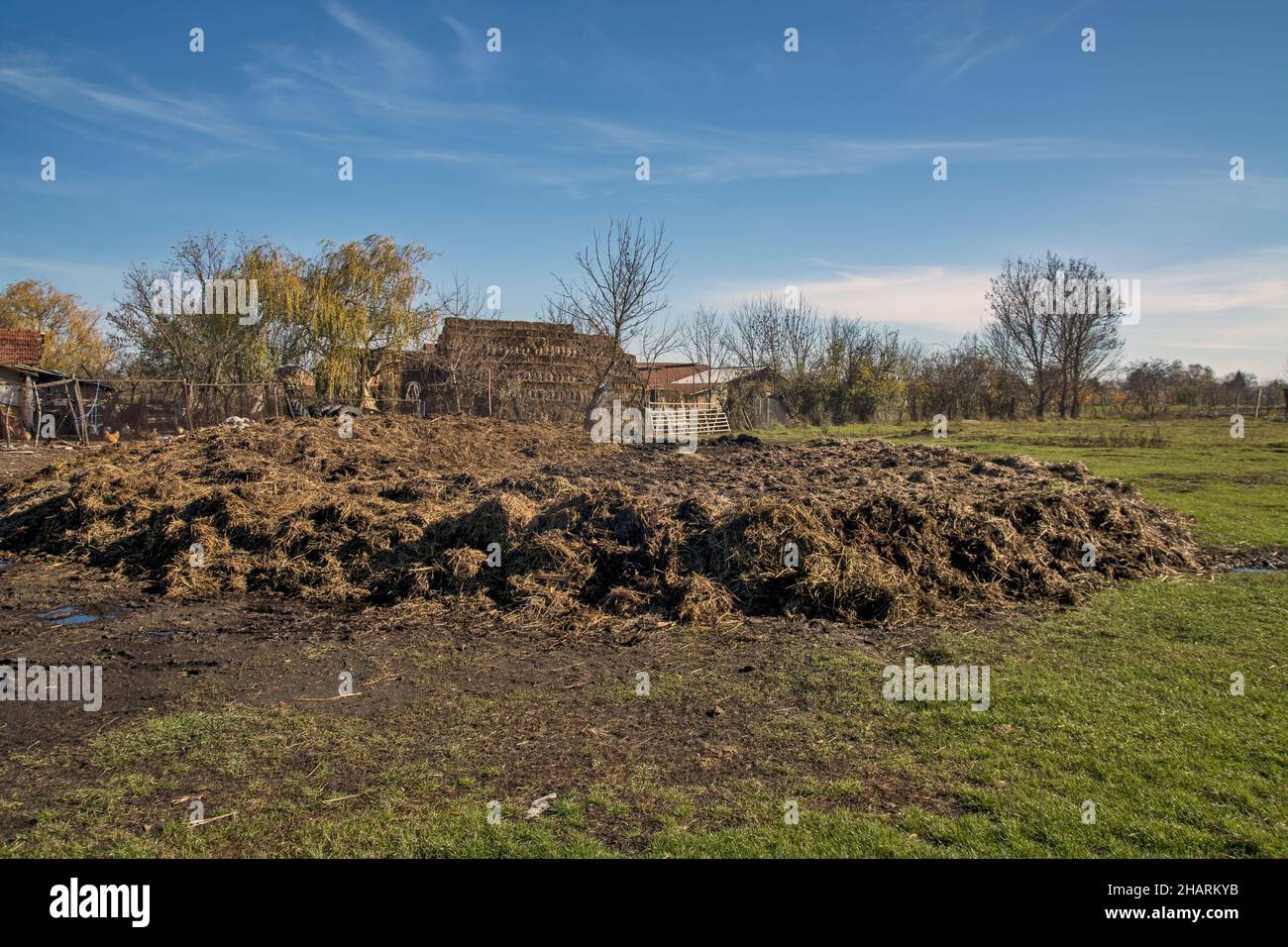 Pile of old manure cow dung in a meadow Stock Photo - Alamy