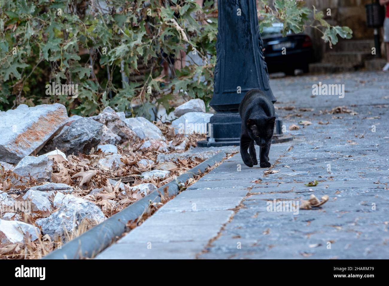 Black cat in the streets of Crete, Greece Stock Photo - Alamy