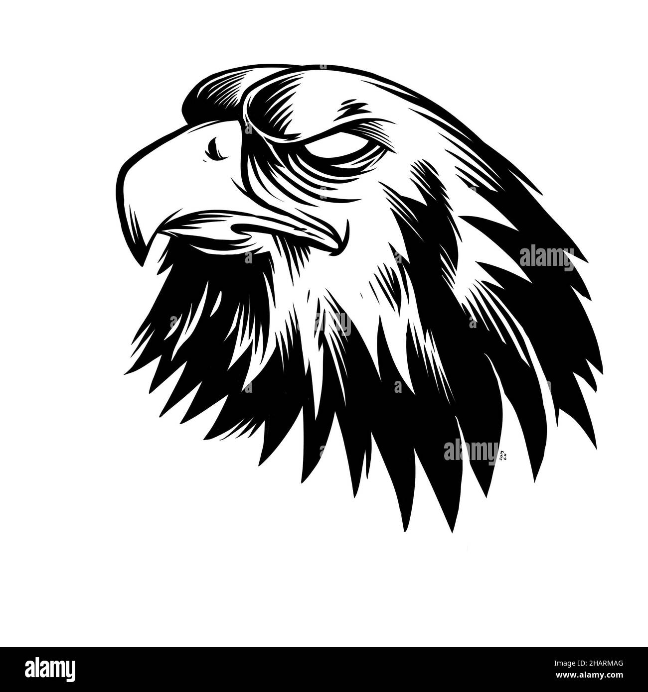 a threatening eagle face in alert. a hand drawn illustration of a wild ...