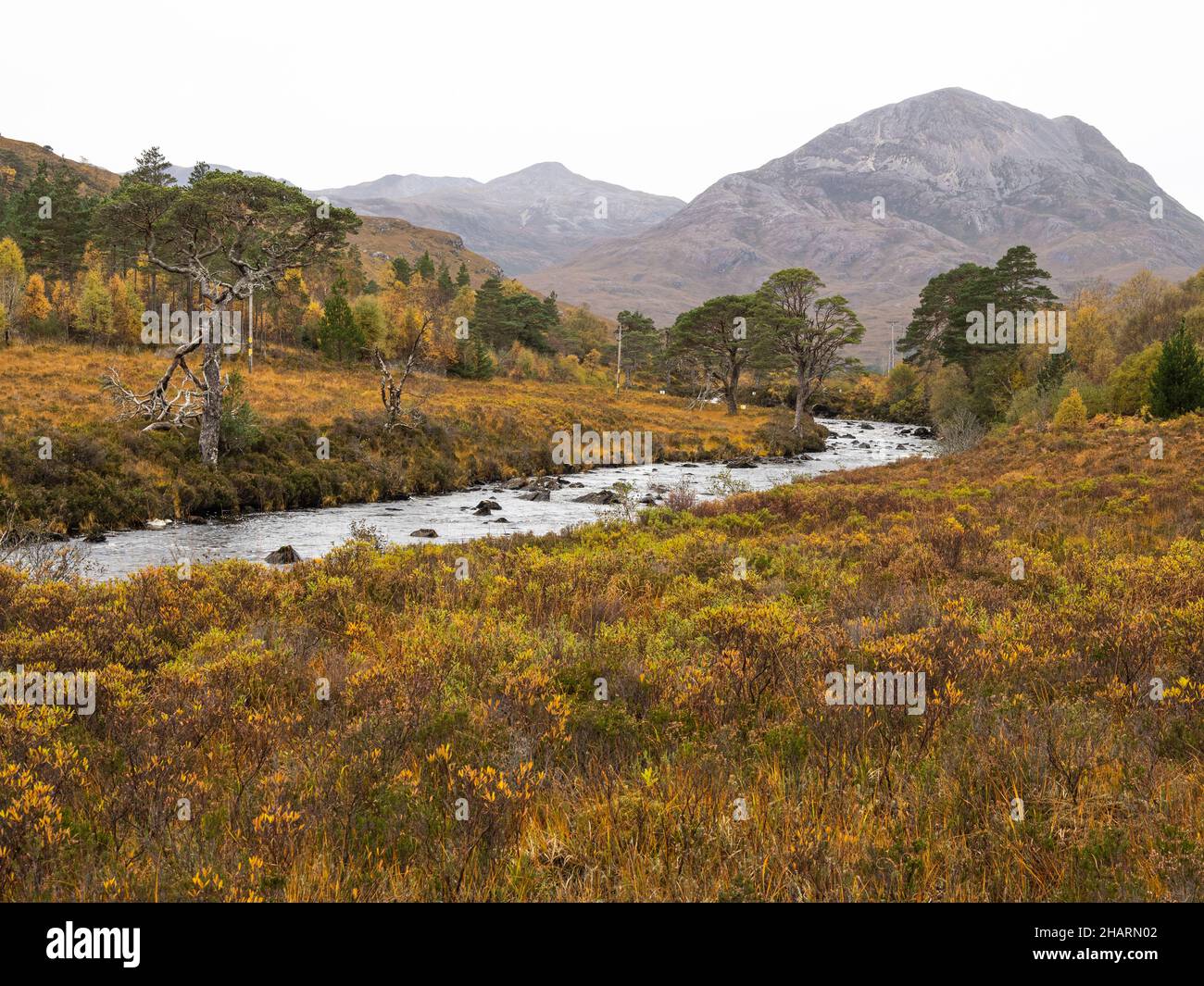 River A'Ghairbhe, running from Loch Clair to Kinlochewe along the side ...