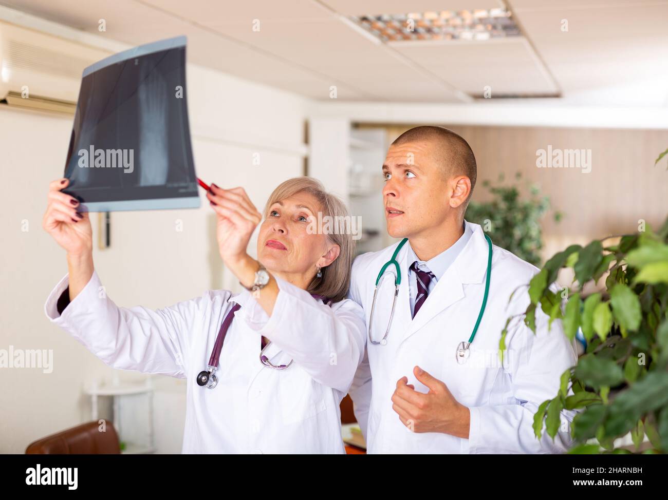Two doctors analyzing roentgenogram Stock Photo - Alamy
