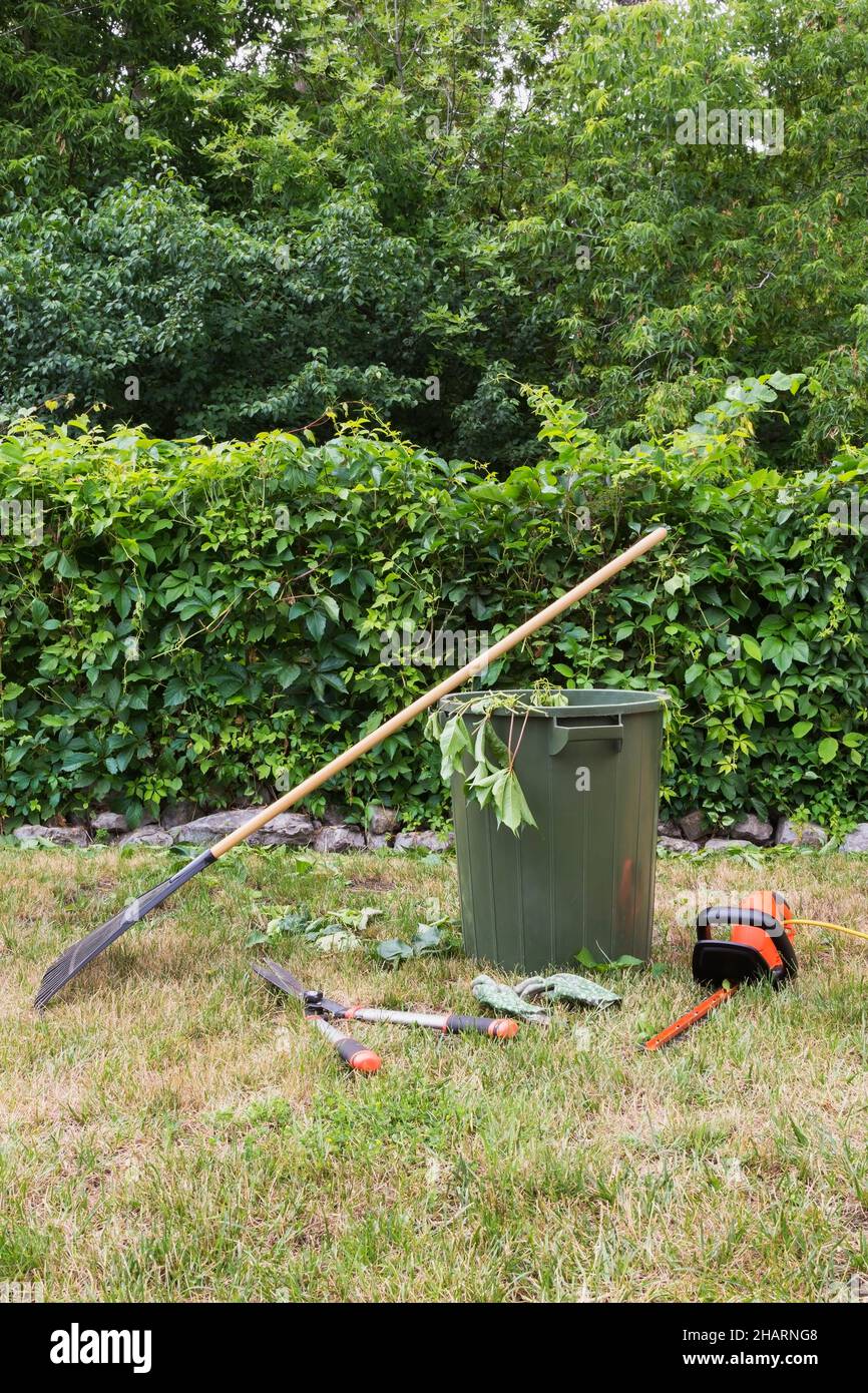 Hedge trimming tools and leaf-rake leaning against collecting bin in ...