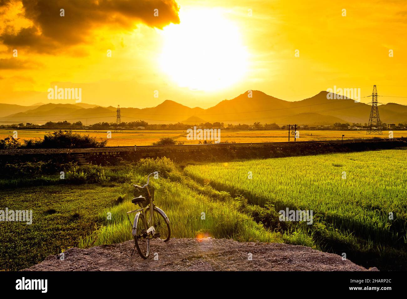 Sunsetting along the highway overlooking rice fields, power lines, and ...