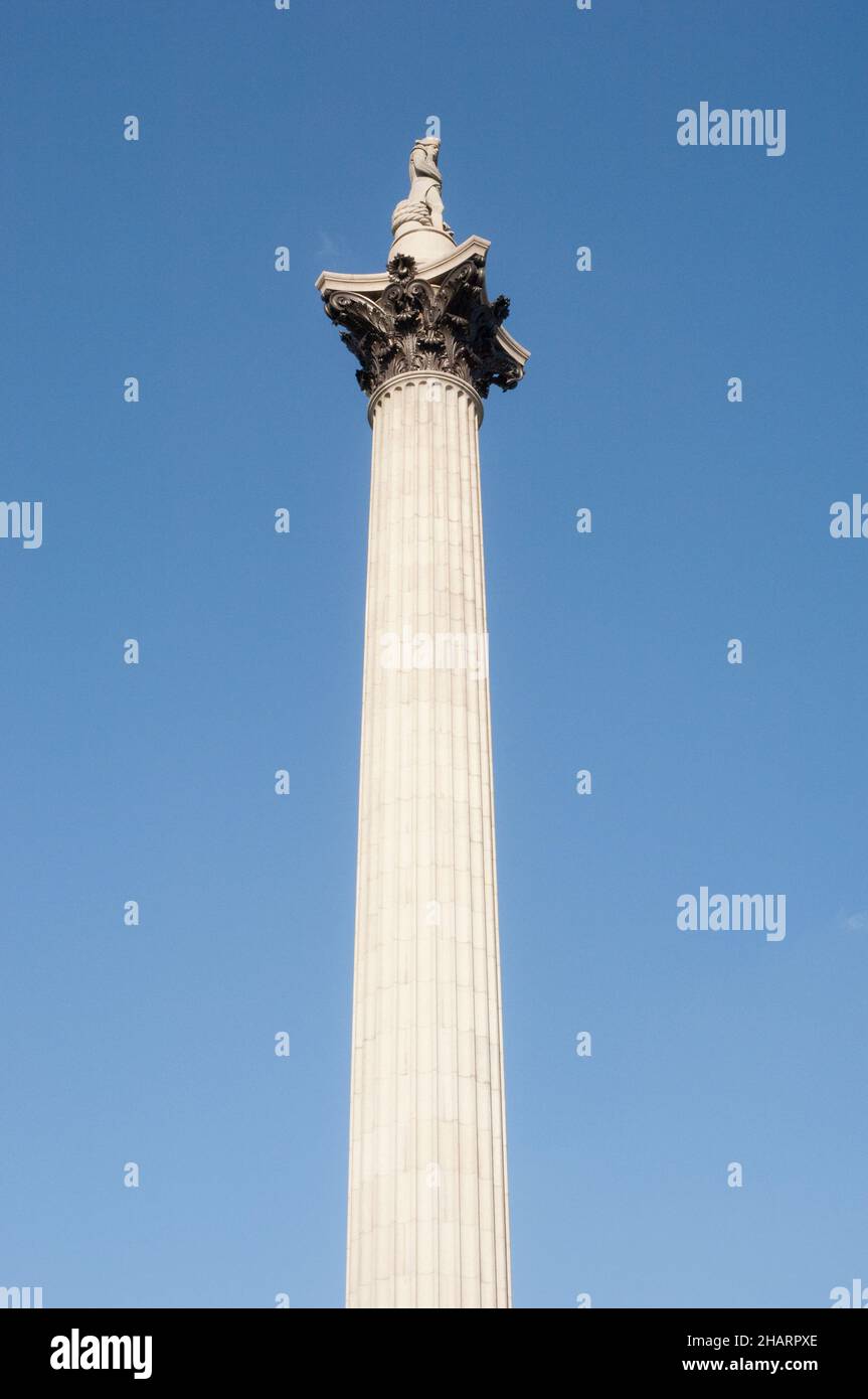 Nelson's Column in Trafalgar Square London, UK Stock Photo - Alamy