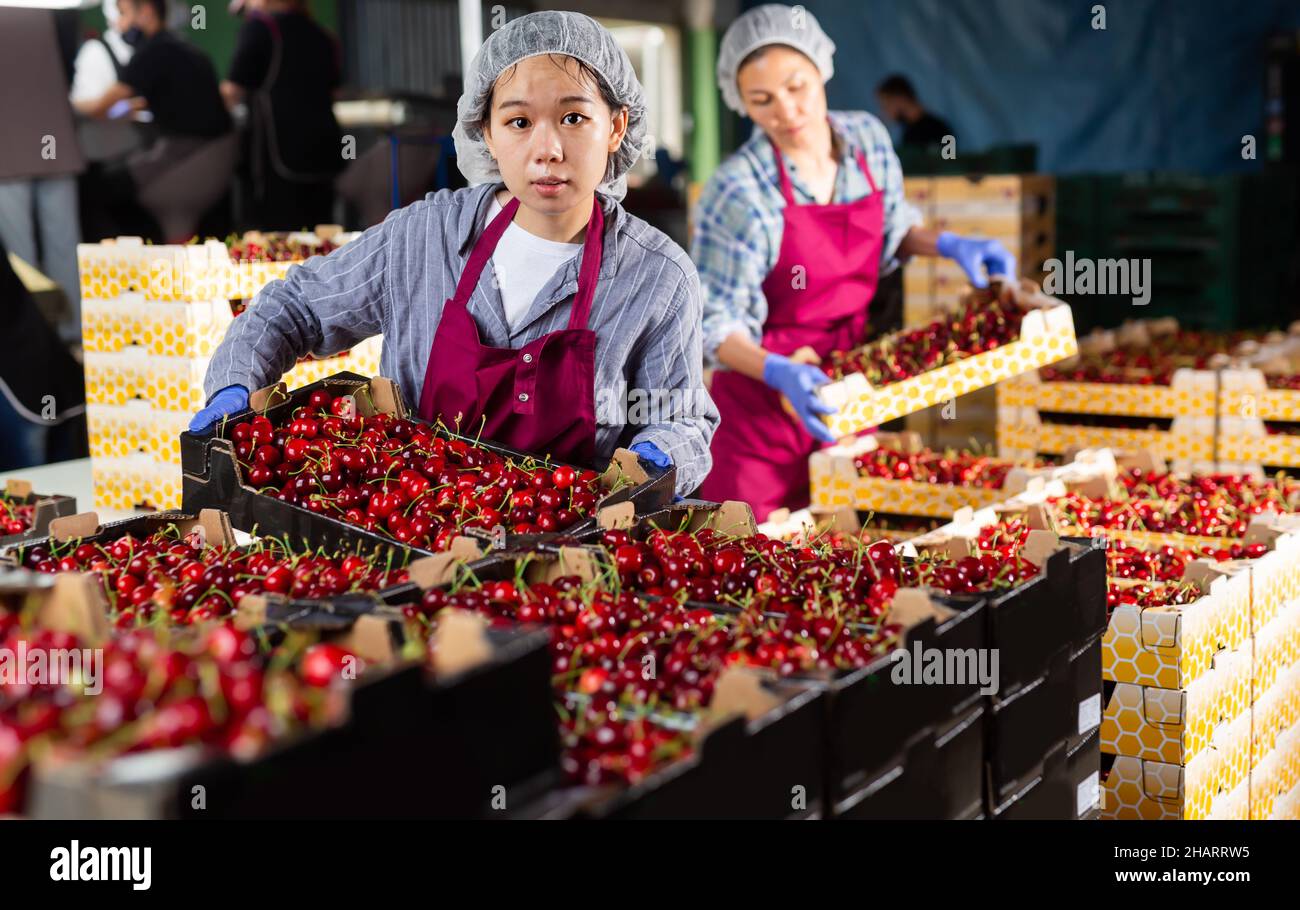 Positive woman working on fruit sorting line at warehouse, checking ...