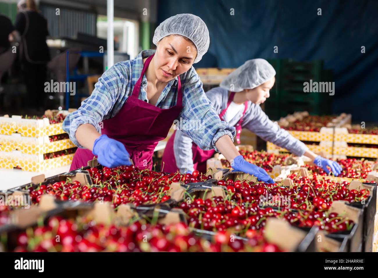 Girl and woman are working in warehouse Stock Photo - Alamy