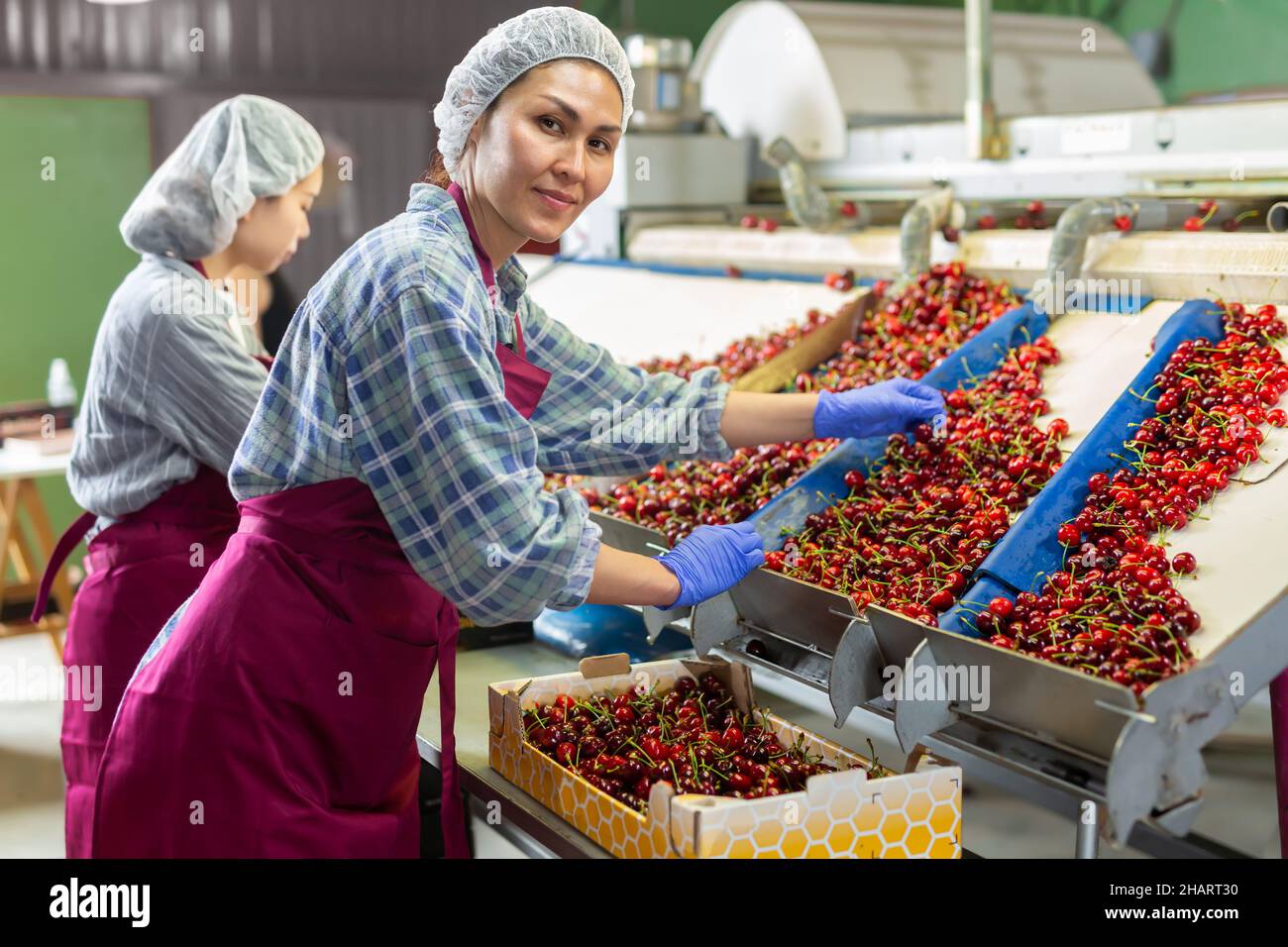 Asian woman sorting cherries Stock Photo - Alamy