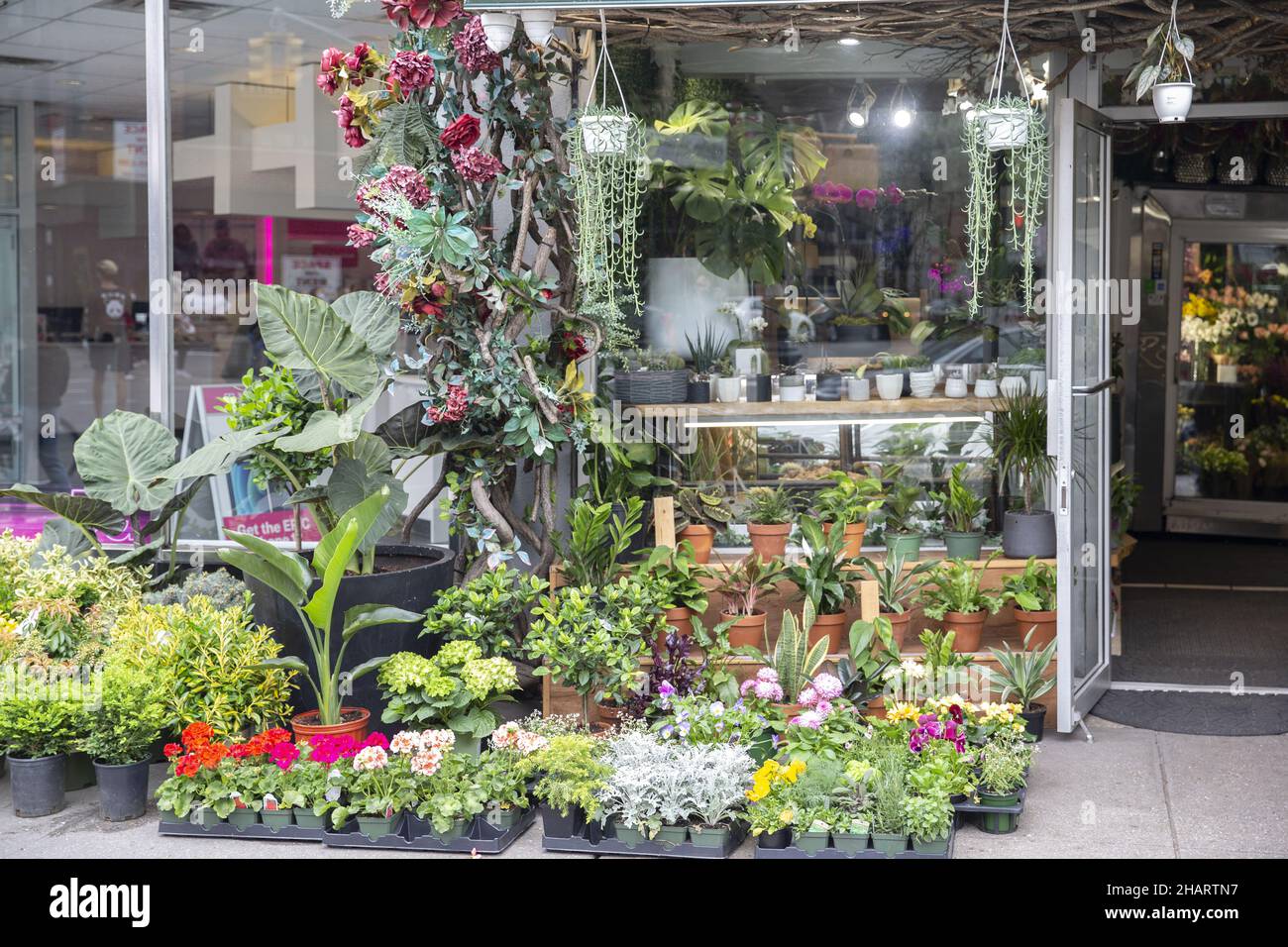 Beautiful display flower shop exterior hi-res stock photography and ...