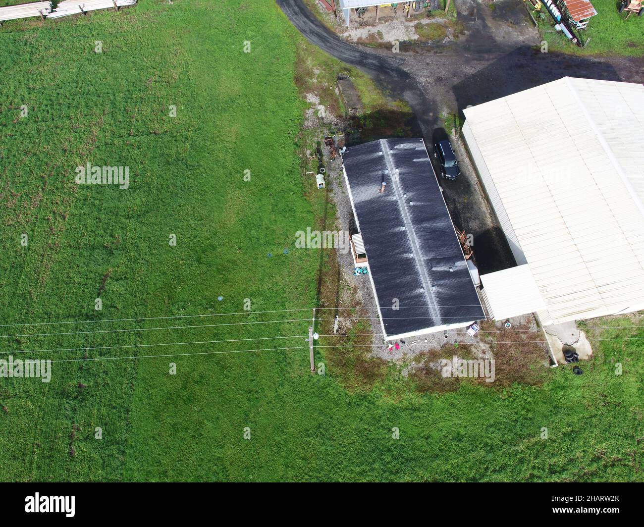Farm fields being grown for hay in the USA Stock Photo - Alamy