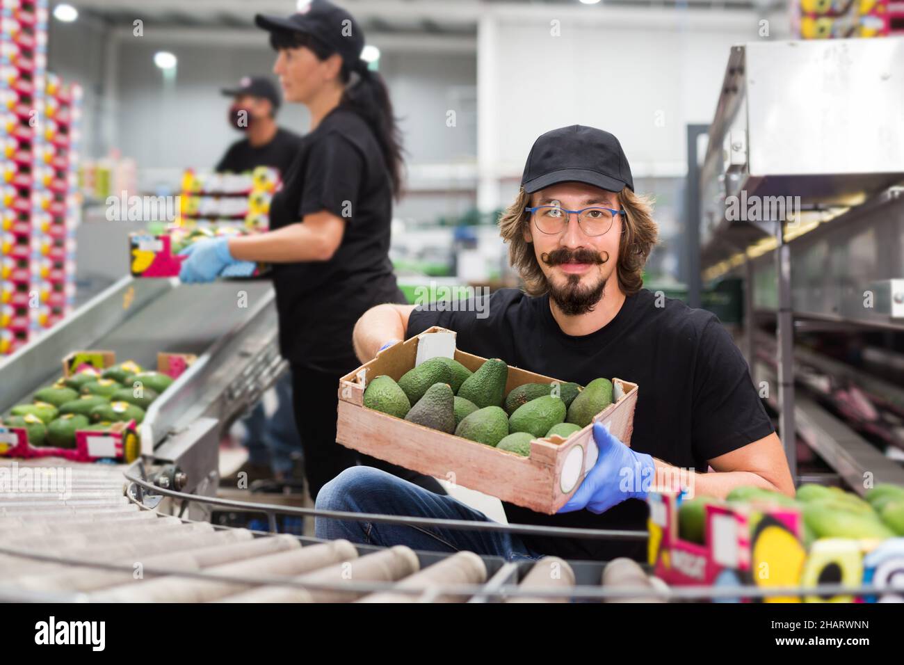 Man working at fruit warehouse carrying avocados Stock Photo - Alamy