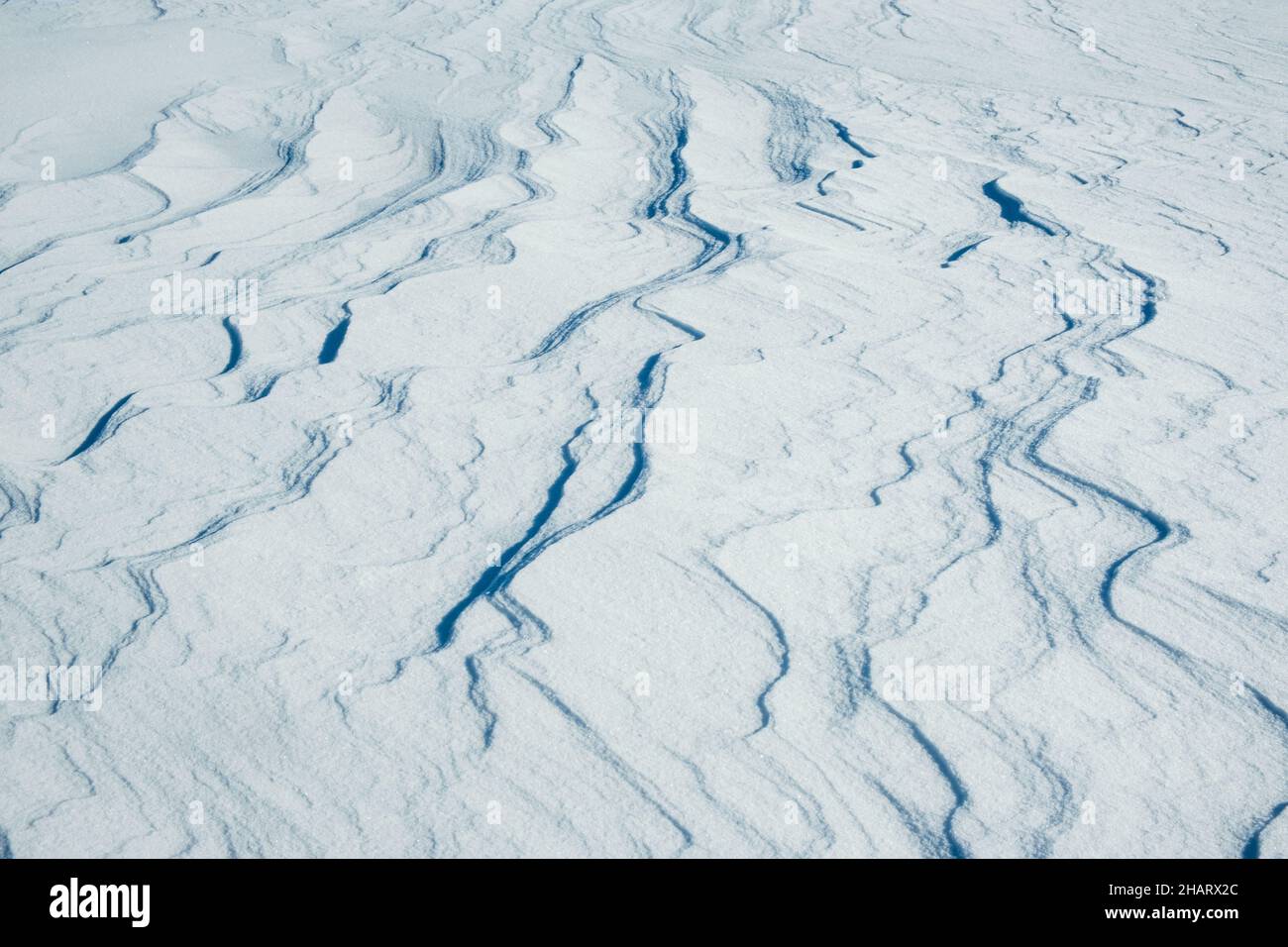 Snow texture with snow waves. Winter nature background Stock Photo - Alamy