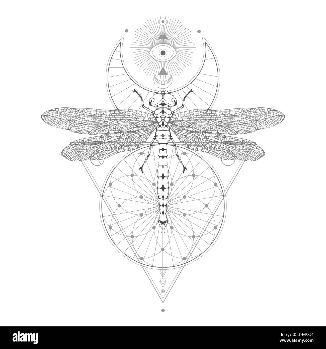 Vector illustration with hand drawn dragonfly and Sacred geometric ...