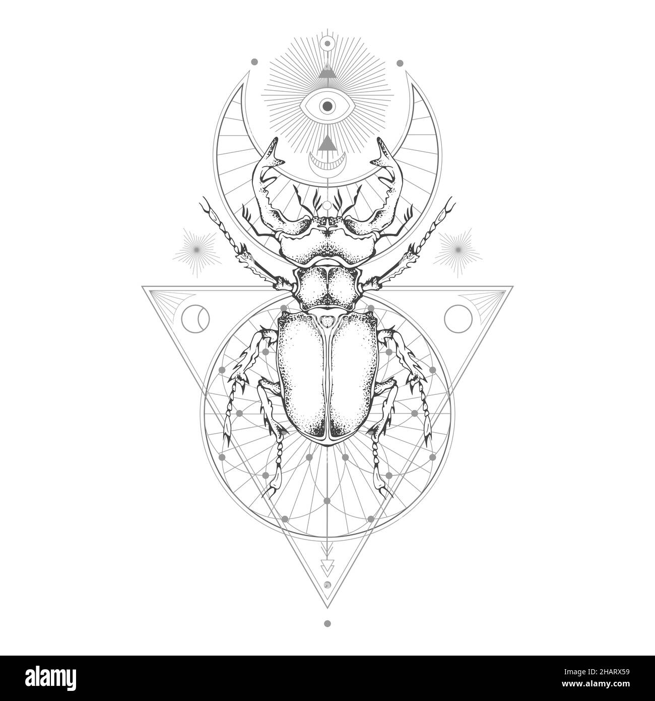 Vector illustration with hand drawn stag beetle and Sacred geometric ...