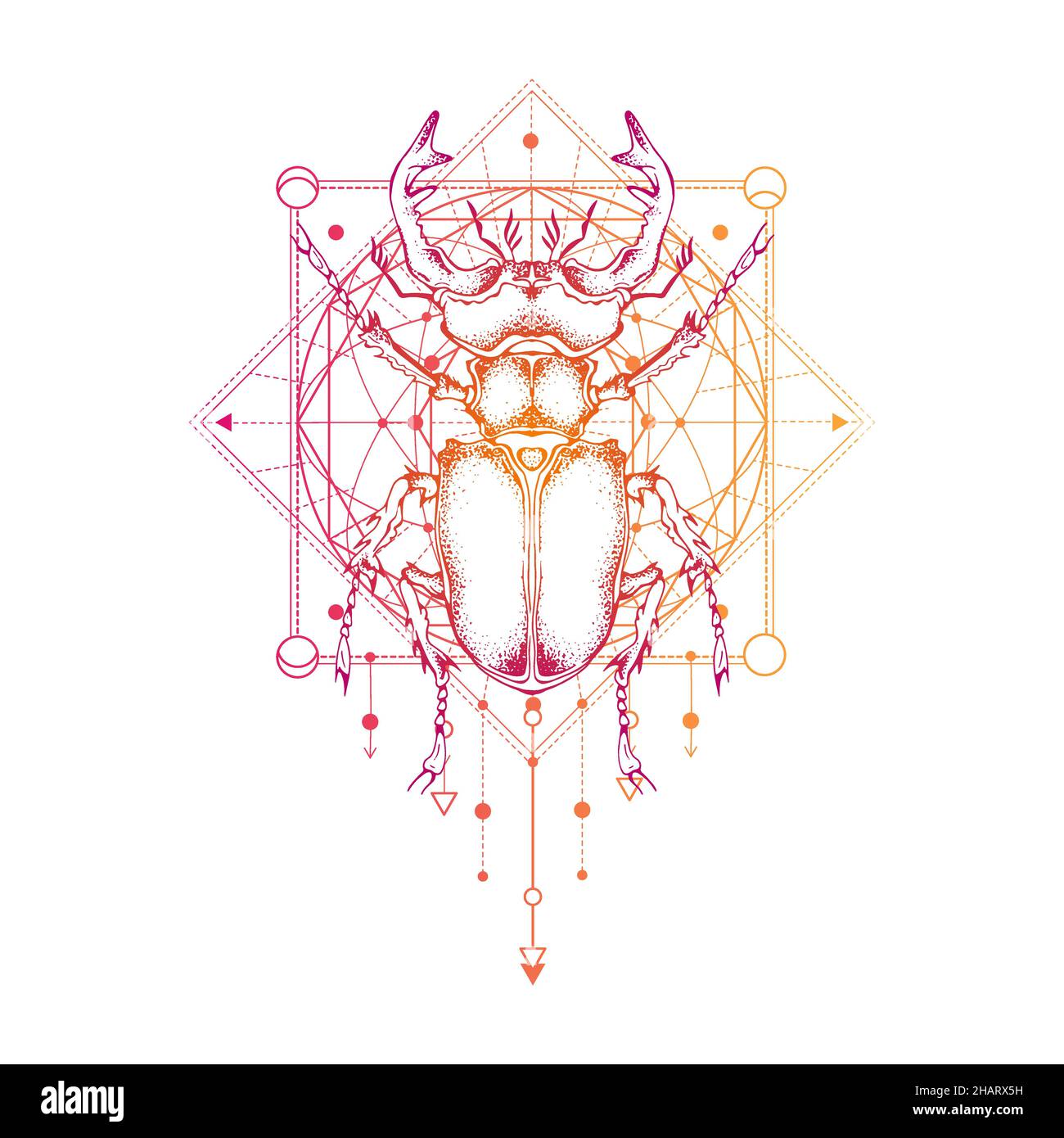 Vector illustration with hand drawn stag beetle and Sacred geometric ...