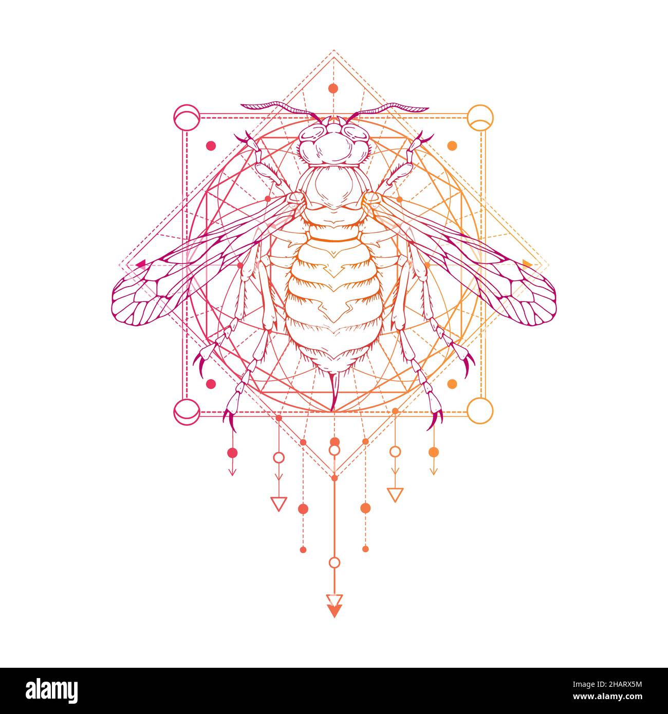Vector illustration with hand drawn wasp and Sacred geometric symbol on ...