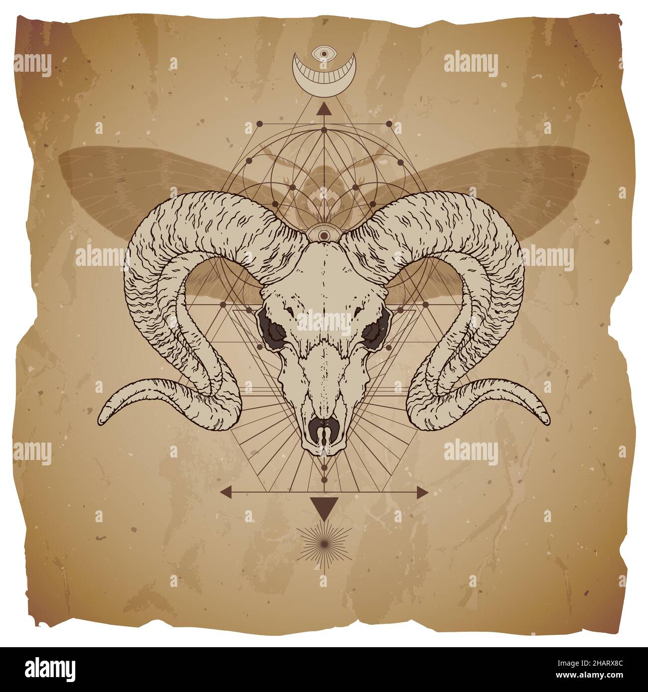 Vector illustration with hand drawn ram skull, dead head moth and ...