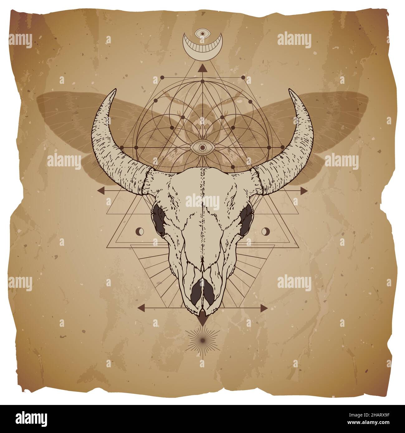 Vector illustration with hand drawn bull skull, dead head moth and ...
