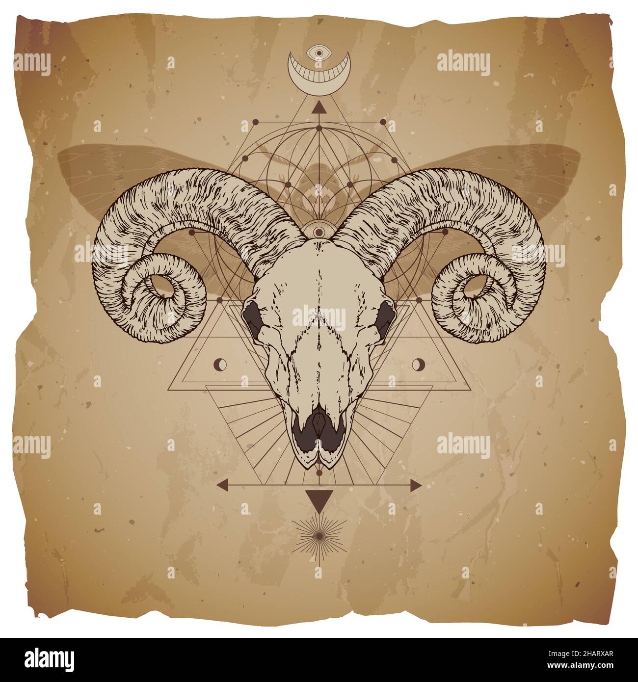 Ram Skull Design